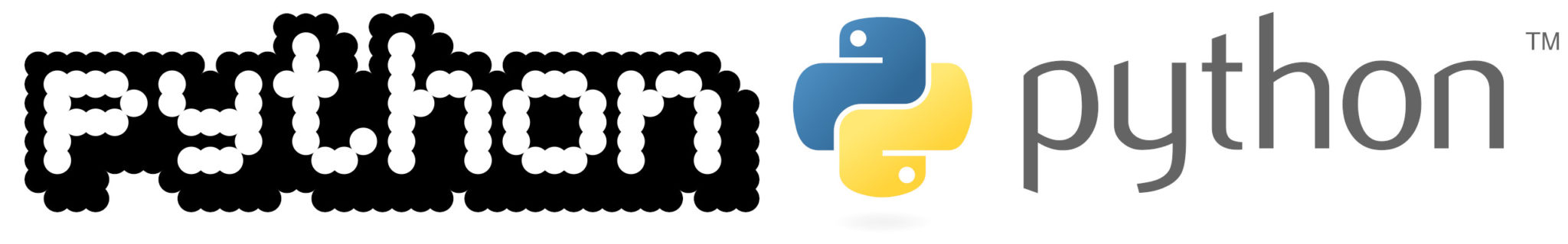 Python ma już 30 lat! Od czego wszystko się zaczęło?